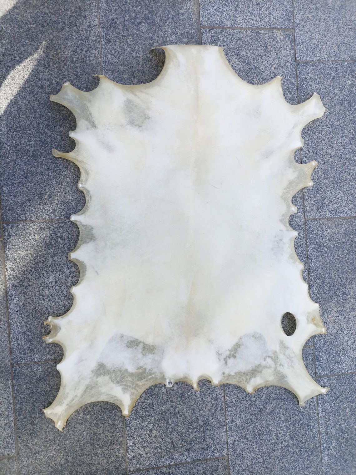 Natural Goatskin Parchment - Handmade Vellum - Real Parchment - Goat ...
