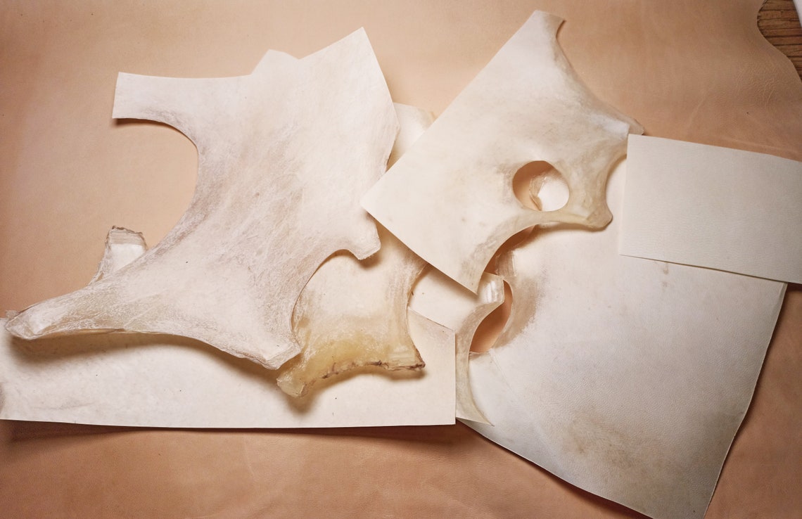 Real Parchment Cuttings - Mixed Goatskin Parchment Piece - Handmade ...