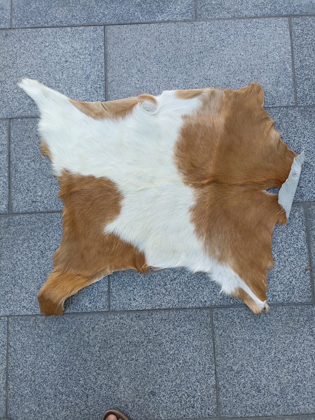 White and Brown Goatskin Rug - Animal Leather - Soft Goatskin Hide ...