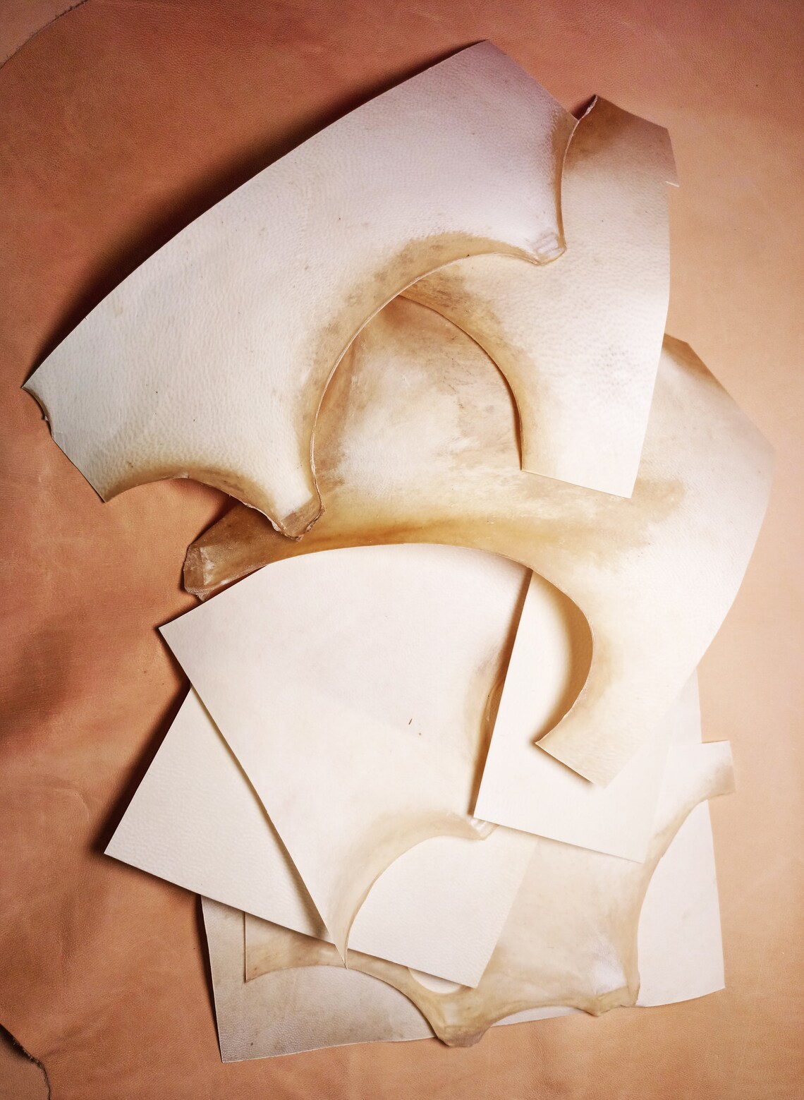 Real Parchment Cuttings - Mixed Goatskin Parchment Piece - Handmade ...