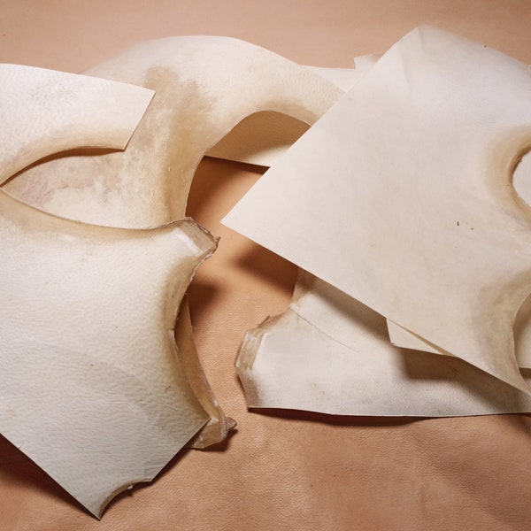 Real Parchment Paper - Etsy