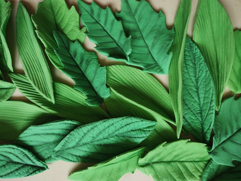 Real-looking Edible Leaves for a Cake. A Set of 30 Fondant - Etsy