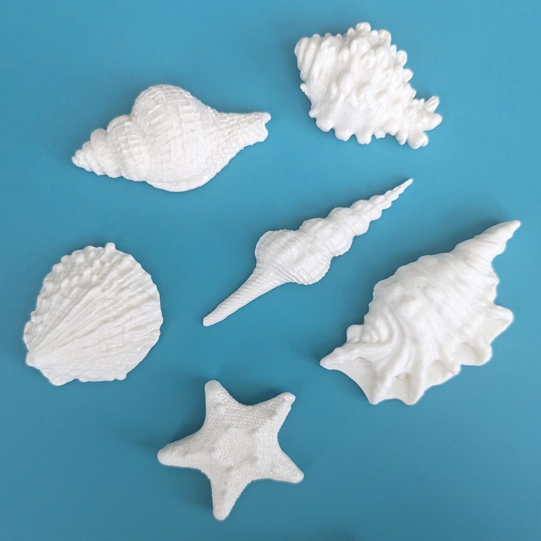 Edible Fondant Large Seashells Cake Toppers Set With Pearl Shimmer ...