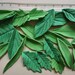 Real-looking Edible Leaves for a Cake. A Set of 30 Fondant Leaves Cake ...