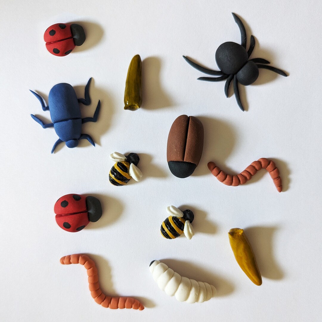 A Set of 12 Fondant Bugs Cake or Cupcake Toppers. Edible Bugs/worms ...