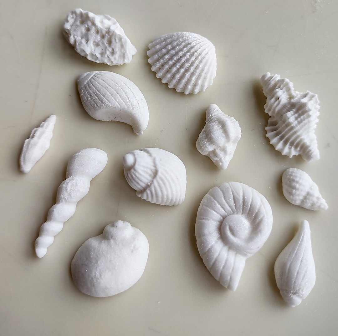 Edible Fondant Small Seashell Cake Toppers Set With Pearl Shimmer ...