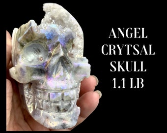 Angel Aura Skull - Etsy