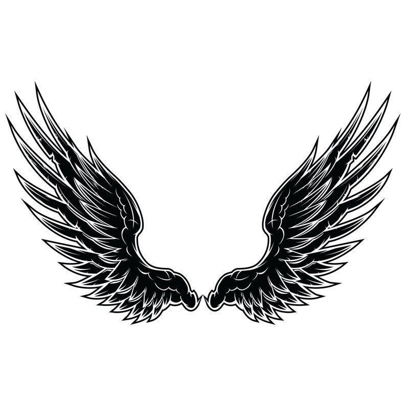Wings SVG - Etsy
