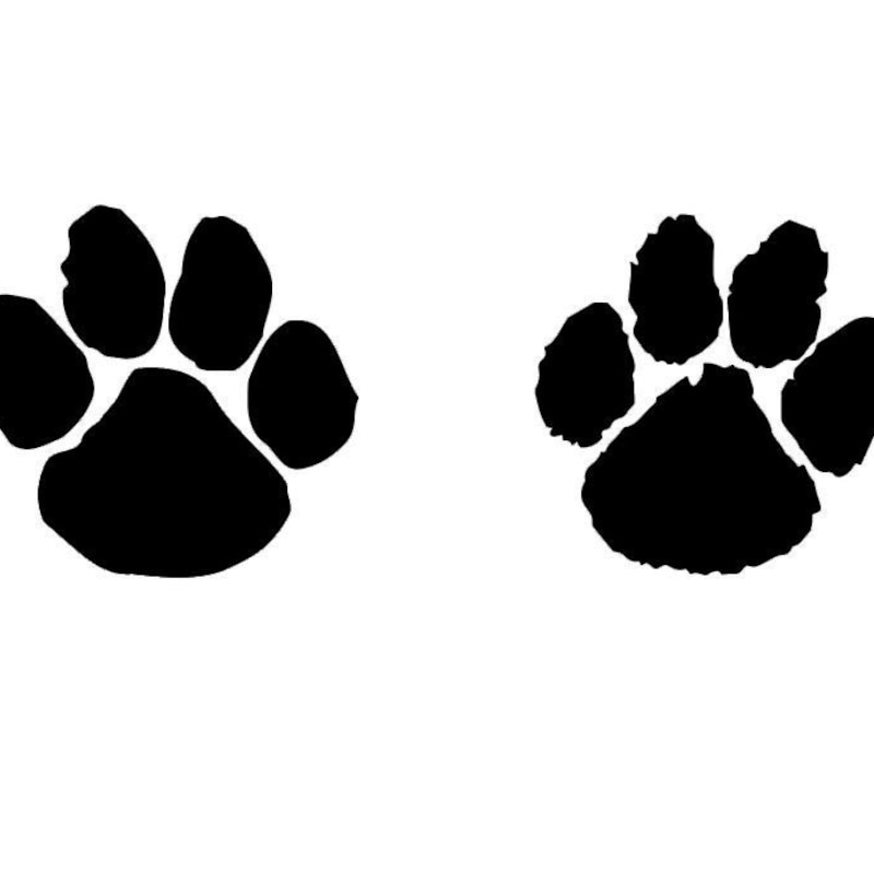 Tiger Paw Svg - Etsy