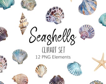 20 Pngs Watercolor Seashells Clipart Sun & Sand Beach Waters Seashell ...