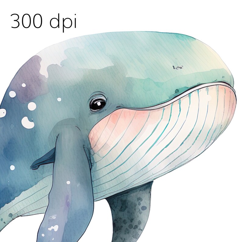 Watercolor Whale Clipart PNG Instant Download - Etsy