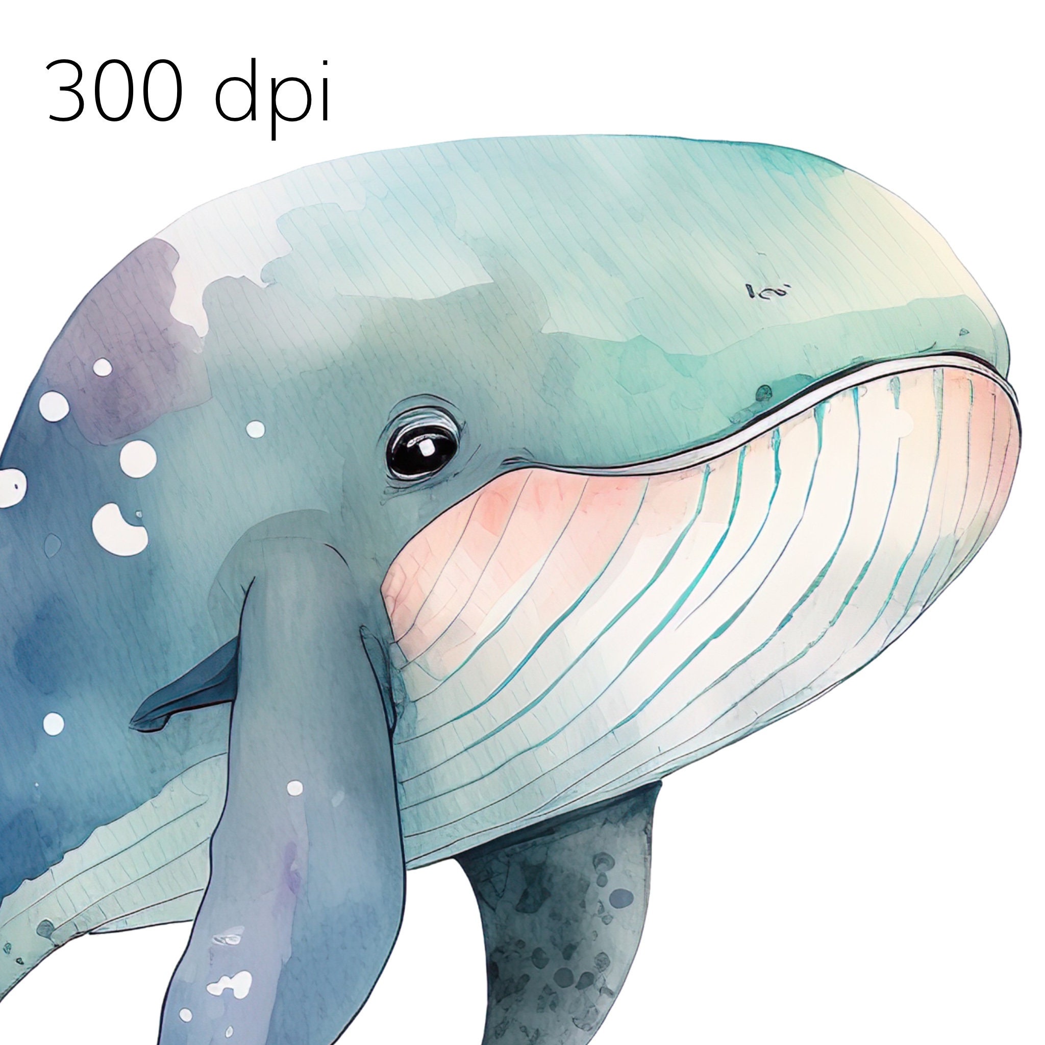 Watercolor Whale Clipart PNG Instant Download - Etsy