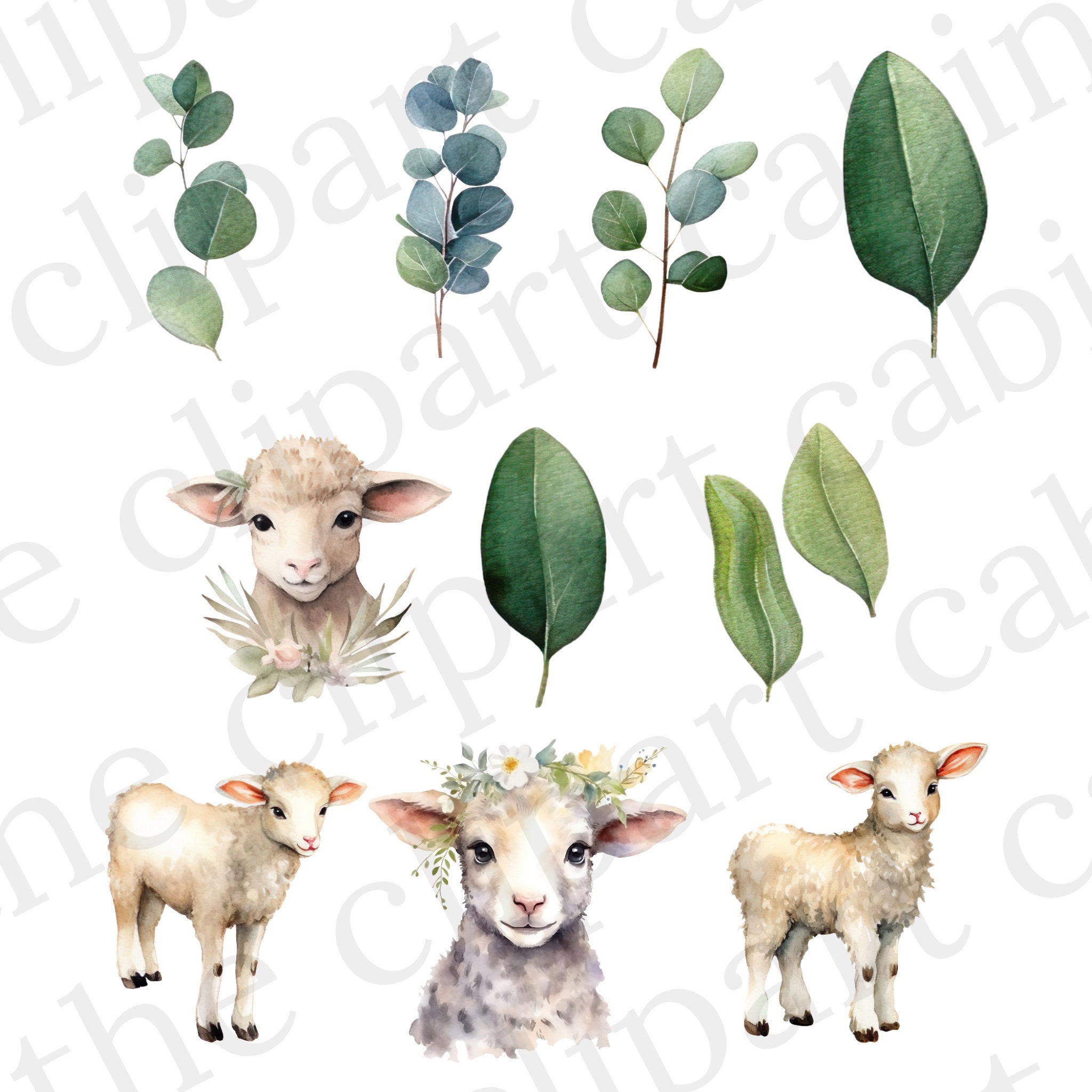 Watercolor Lamb Clipart Set PNG Instant Download - Etsy