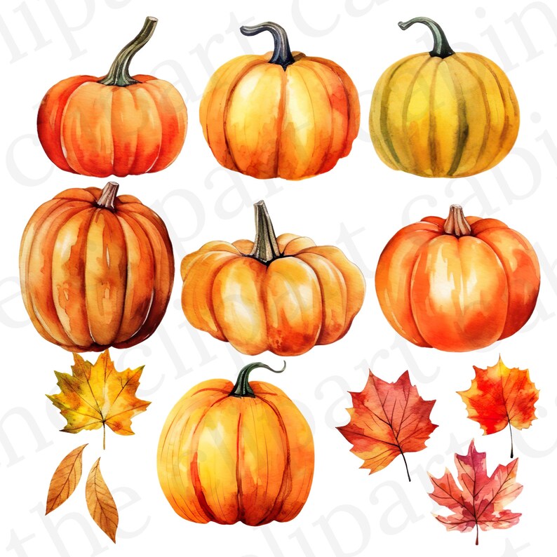 Watercolor Pumpkin Clipart Set PNG Instant Download - Etsy