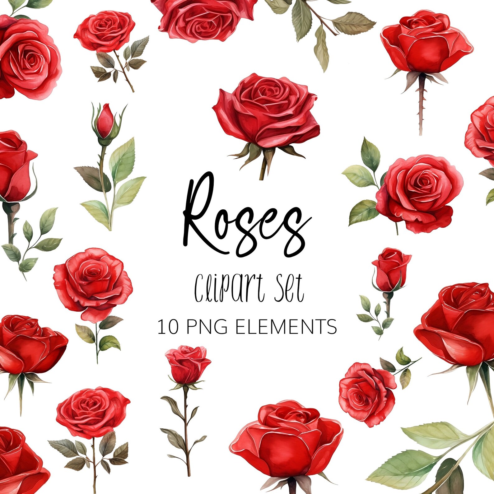 Watercolor Red Rose Clipart Set PNG Instant Download - Etsy UK