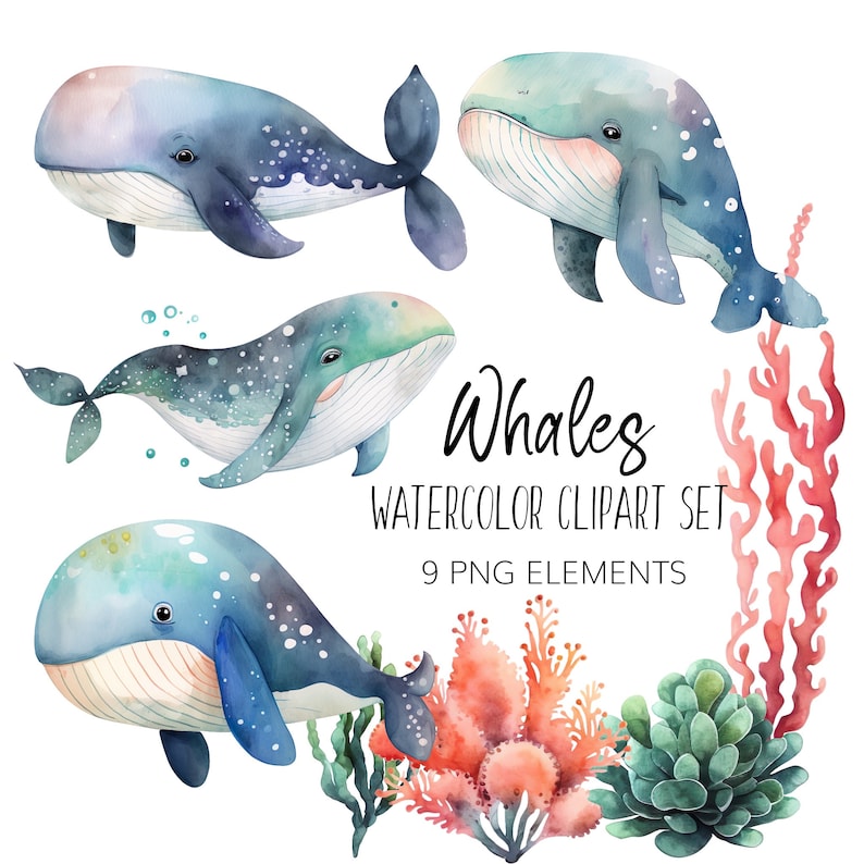 Watercolor Whale Clipart PNG Instant Download - Etsy