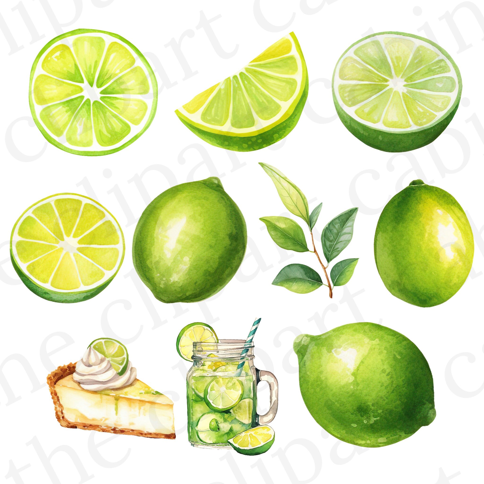Watercolor Lime Clipart PNG Instant Download - Etsy