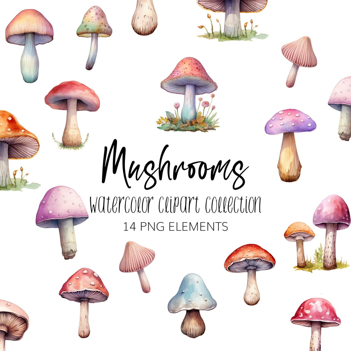 Mushroom Watercolor Clipart Set PNG Instant Download - Etsy UK