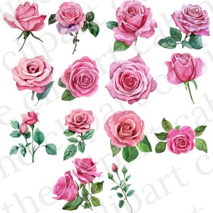 Pink Rose Clipart Set PNG - Etsy