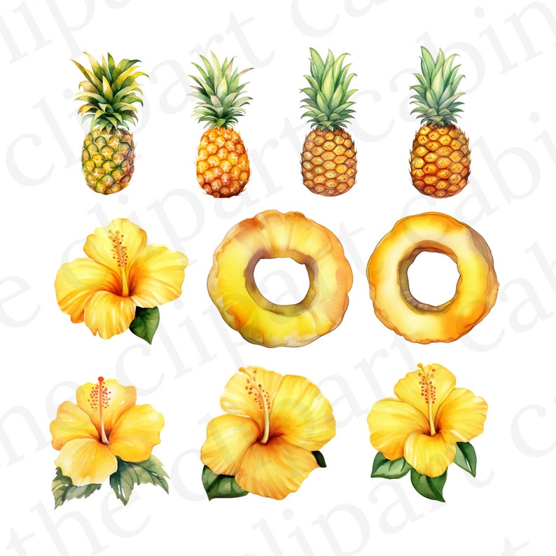 Watercolor Pineapple Clipart Set PNG Instant Download - Etsy