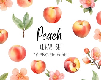Watercolor Peaches Fruit Clip Art, Whole Peach Clip Art, Fruit Clip Art ...