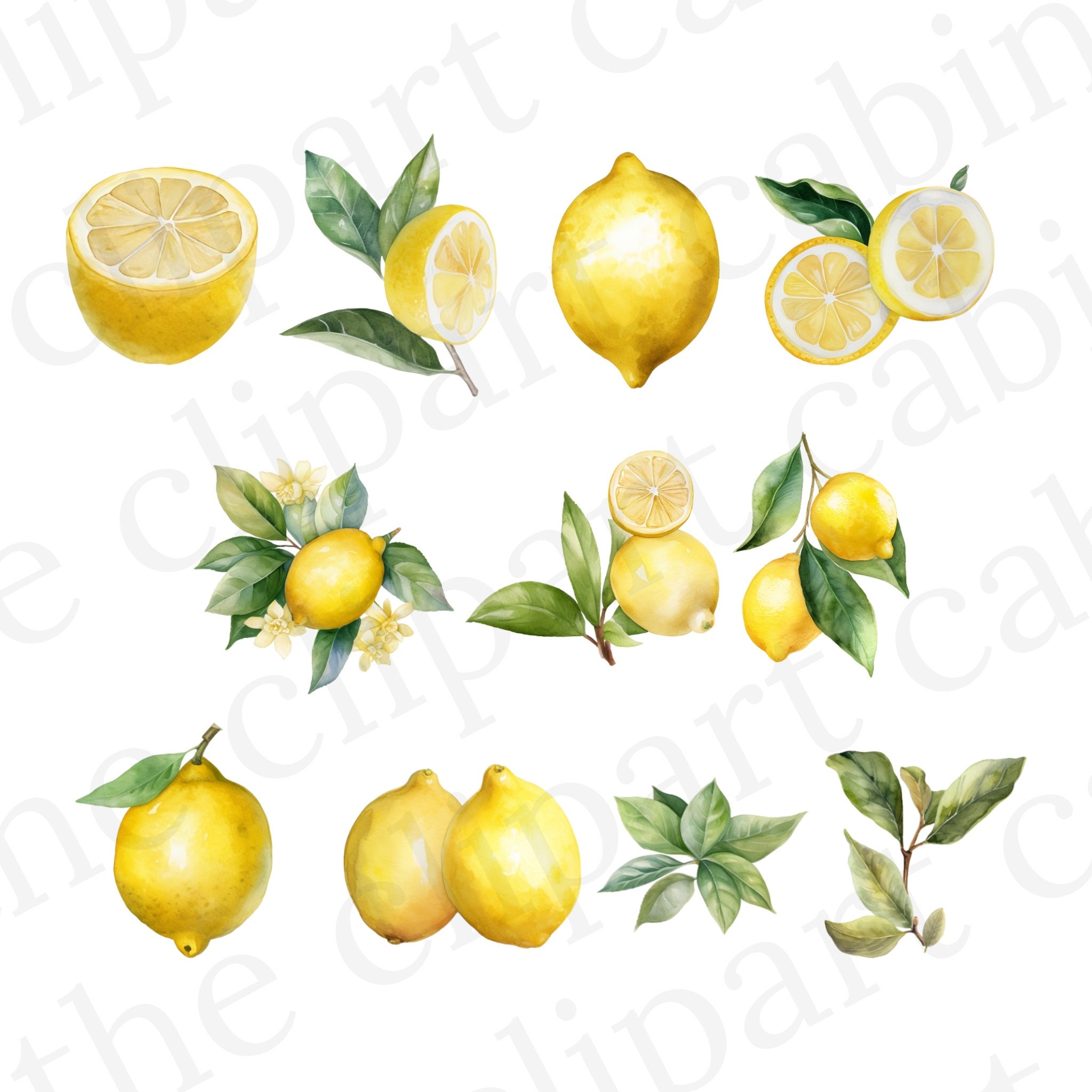 Watercolor Lemon Clipart PNG Instant Download - Etsy
