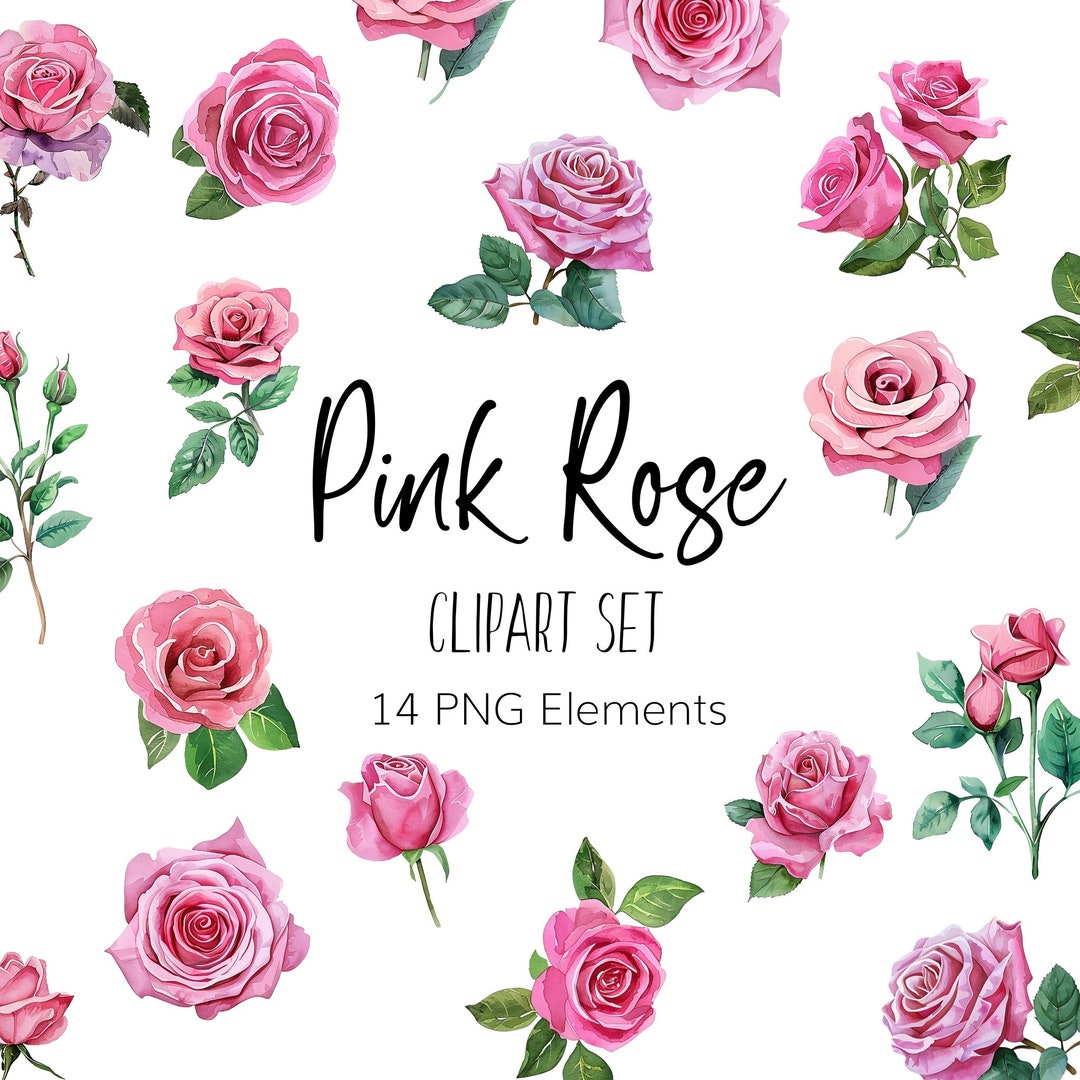 Pink Rose Clipart Set PNG - Etsy