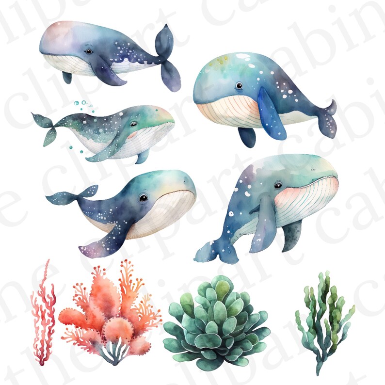 Watercolor Whale Clipart PNG Instant Download - Etsy