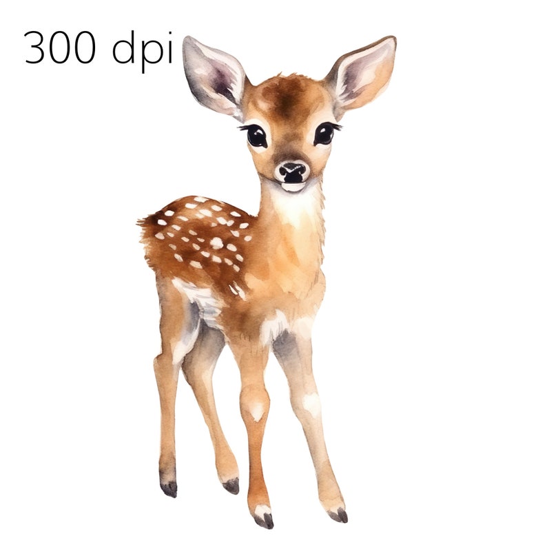 Watercolor Fawn Clipart Set PNG Instant Download - Etsy