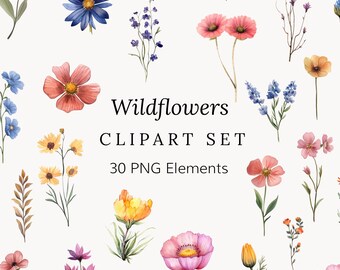 Watercolor Wildflower Clipart Bundle, Instant Digital Download, 24 High ...