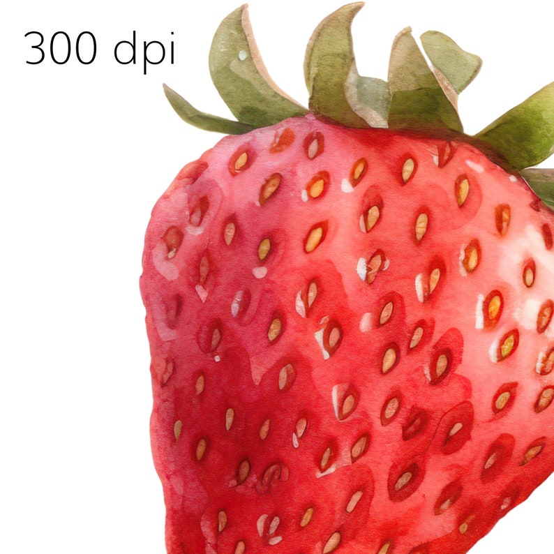 Watercolor Strawberry Clipart PNG Instant Download - Etsy