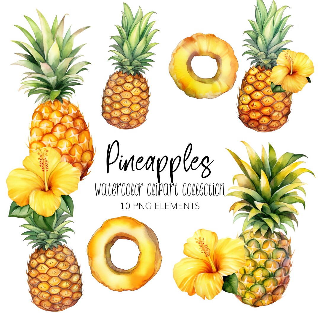 Watercolor Pineapple Clipart Set - PNG - Instant Download - Etsy