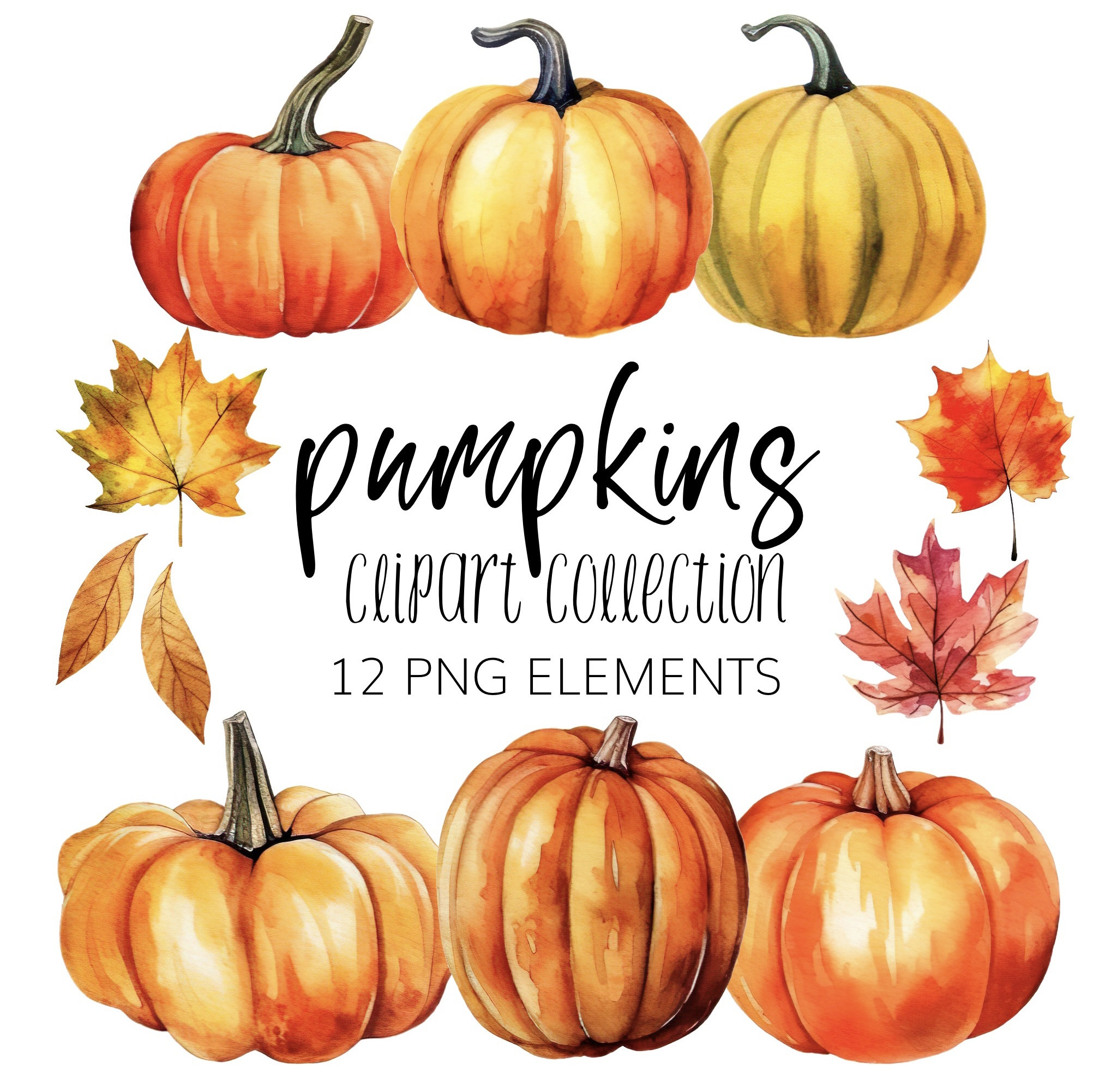 Watercolor Pumpkin Clipart Set PNG Instant Download - Etsy