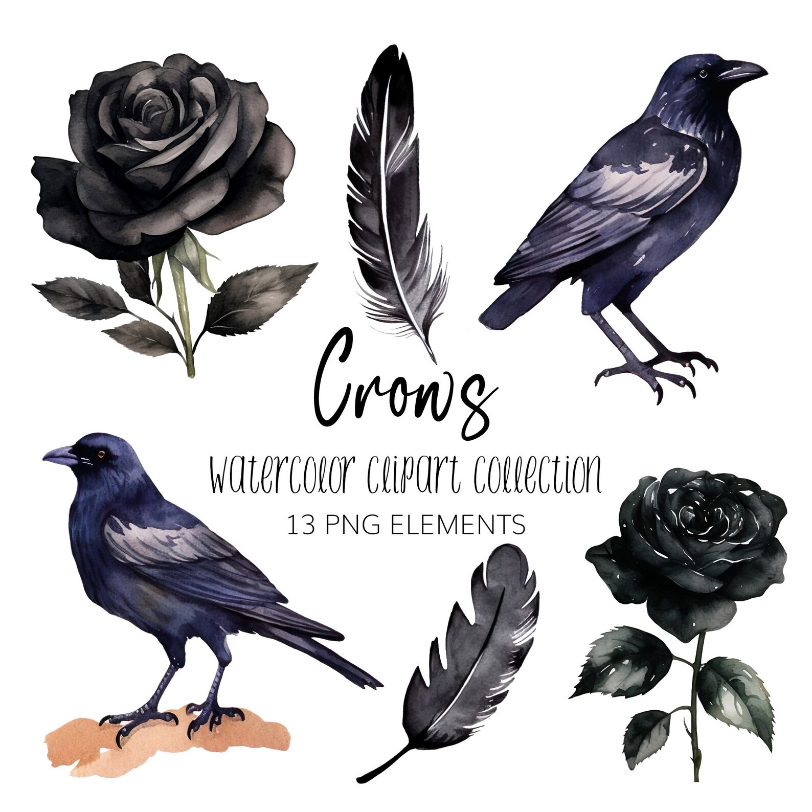 Watercolor Crow Clipart Set PNG Instant Download - Etsy