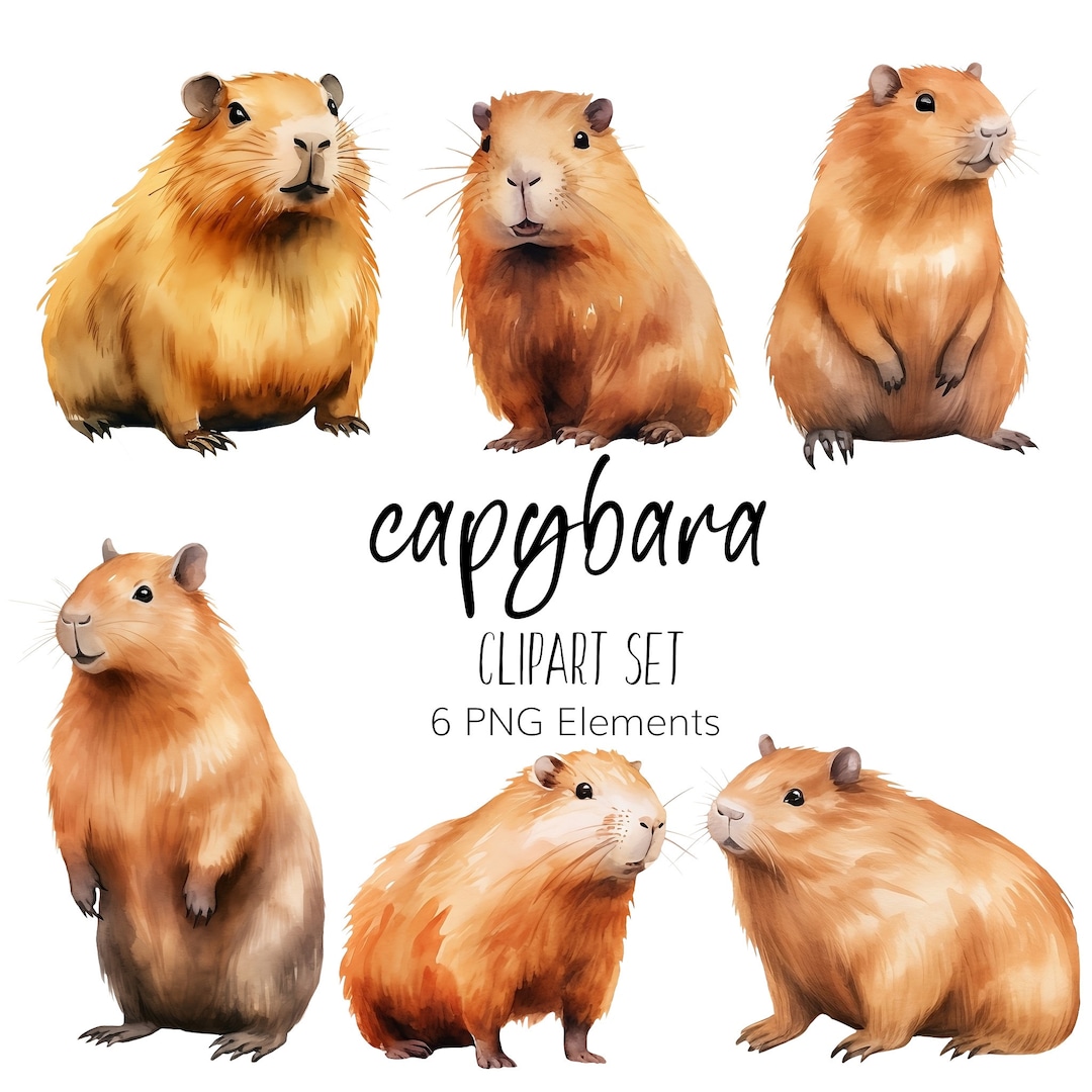 Capybara Clipart Set - PNG - Etsy