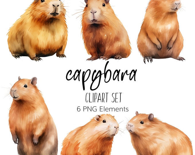 40 Whimsical Capybara Clipart Bundle High-quality Capybara PNG Images ...