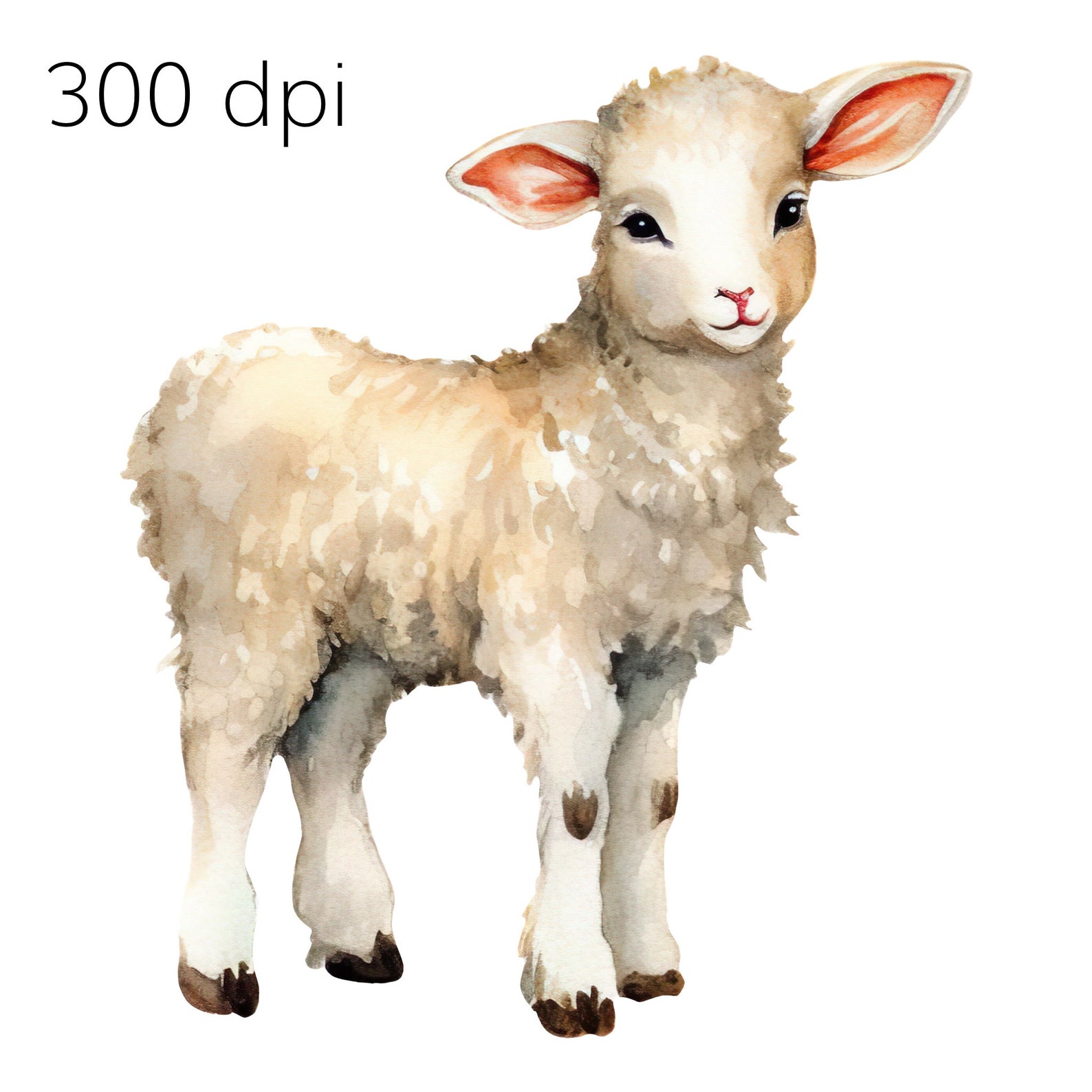 Watercolor Lamb Clipart Set PNG Instant Download - Etsy