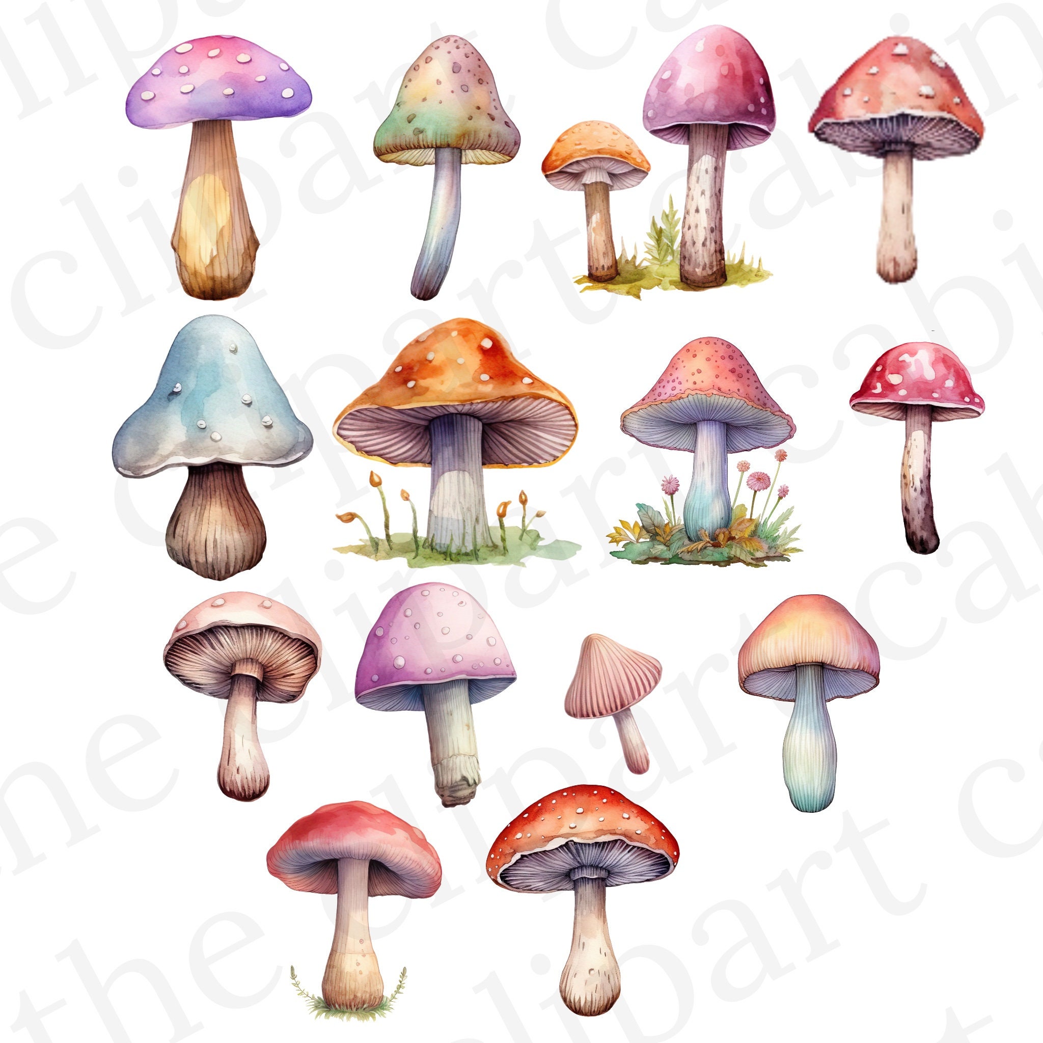 Mushroom Watercolor Clipart Set PNG Instant Download - Etsy UK