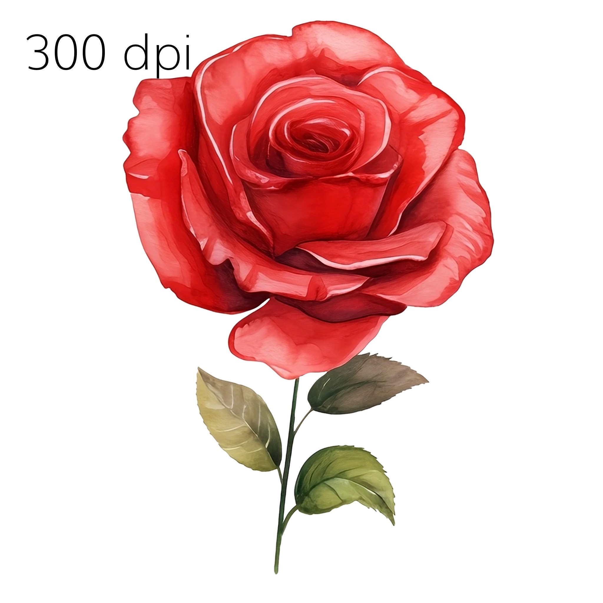 Watercolor Red Rose Clipart Set PNG Instant Download - Etsy UK