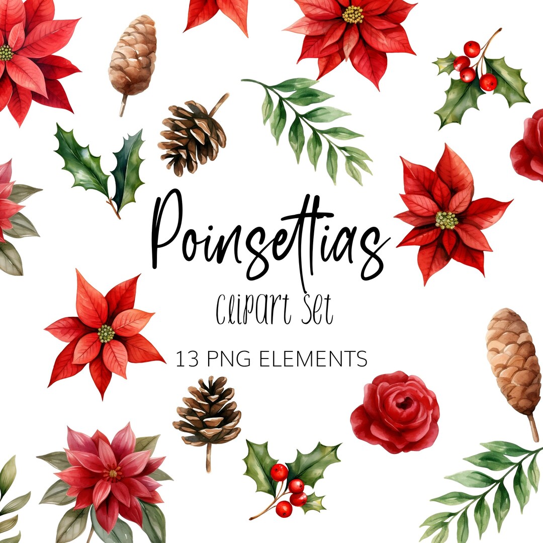 Poinsettia Clipart Set - Christmas Flowers - PNG - Instant Download - Etsy