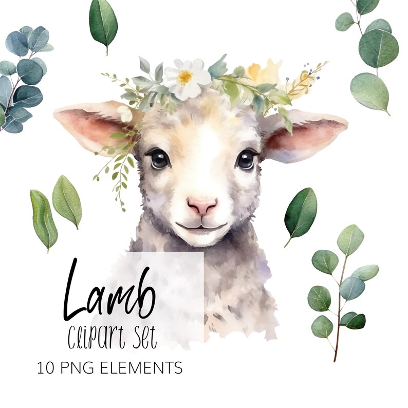 Watercolor Lamb Clipart Set PNG Instant Download - Etsy
