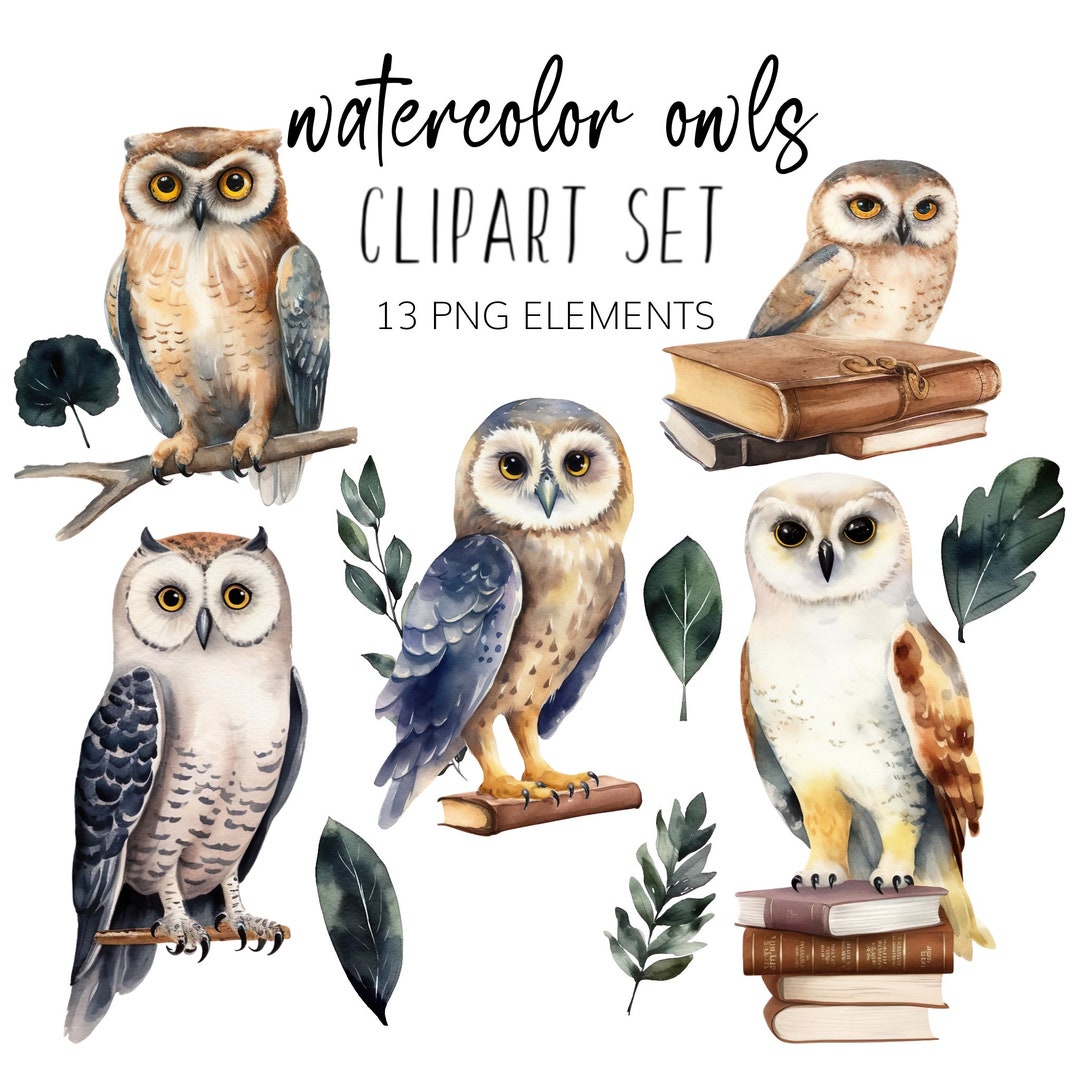 Watercolor Owl Clipart - PNG - Instant Download - Etsy