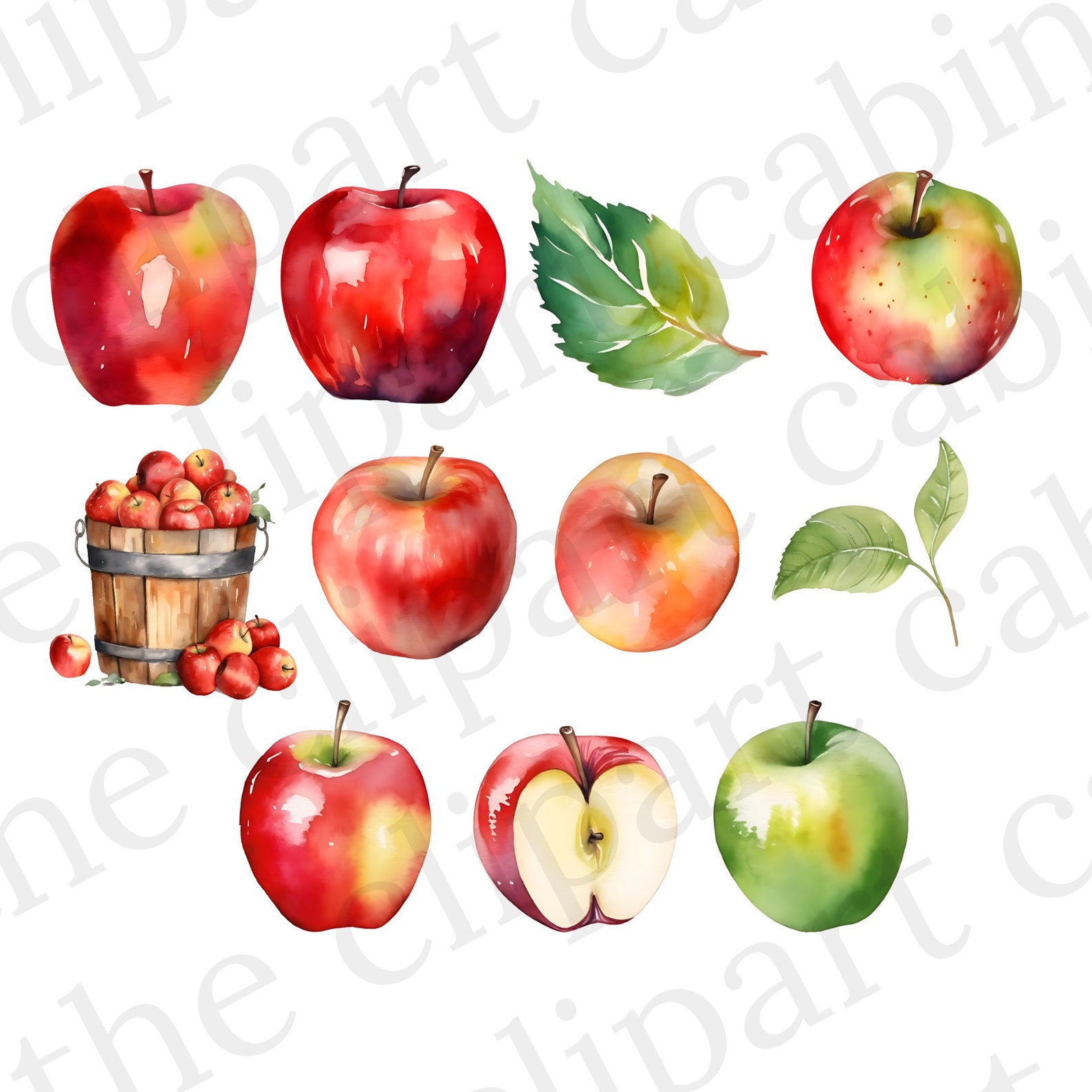 Watercolor Apple Clipart Set PNG Instant Download - Etsy