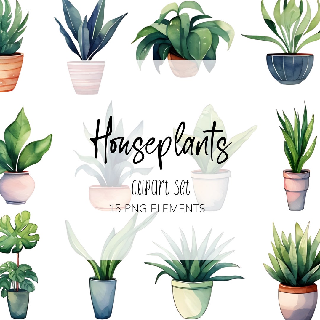 Watercolor Houseplants Clipart Set PNG Instant Download - Etsy UK
