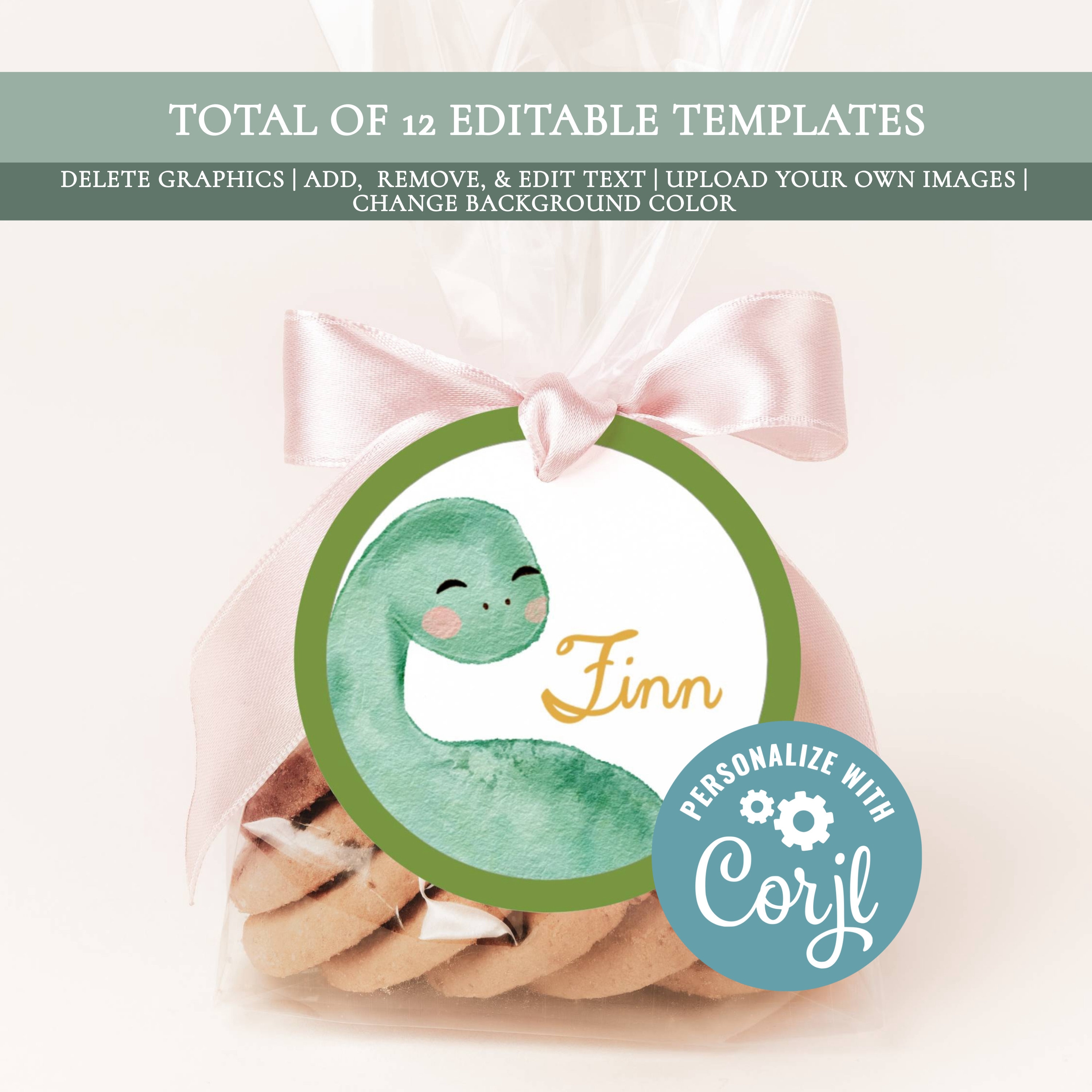 Dinosaur Birthday Party Favor Labels, Dinosaur Party Favor Tags ...