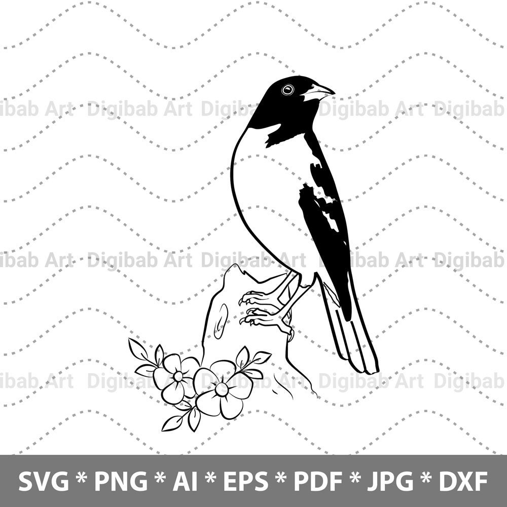 Bird Oriole SVG Baltimore Oriole Vector Illustration T - Etsy
