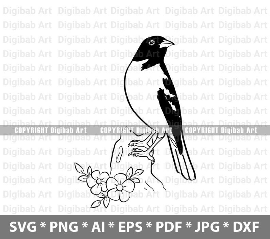 Bird Oriole SVG Baltimore Oriole Vector Illustration Svg Cut | Etsy