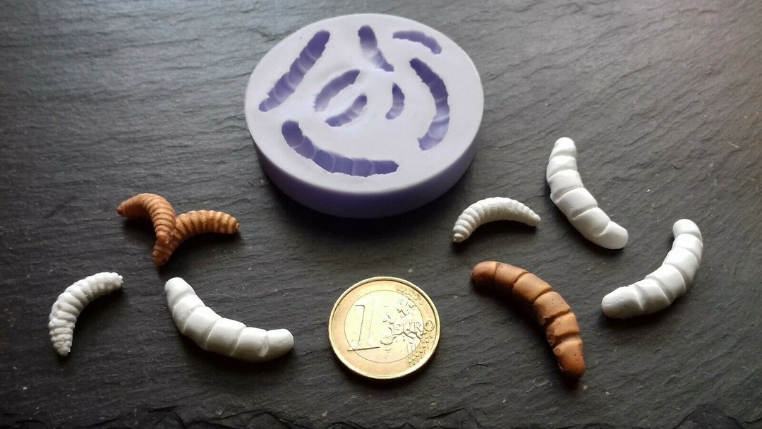 Silicone Mold Mold Maggots and Mealworms / Chocolate Fondant Marzipan ...