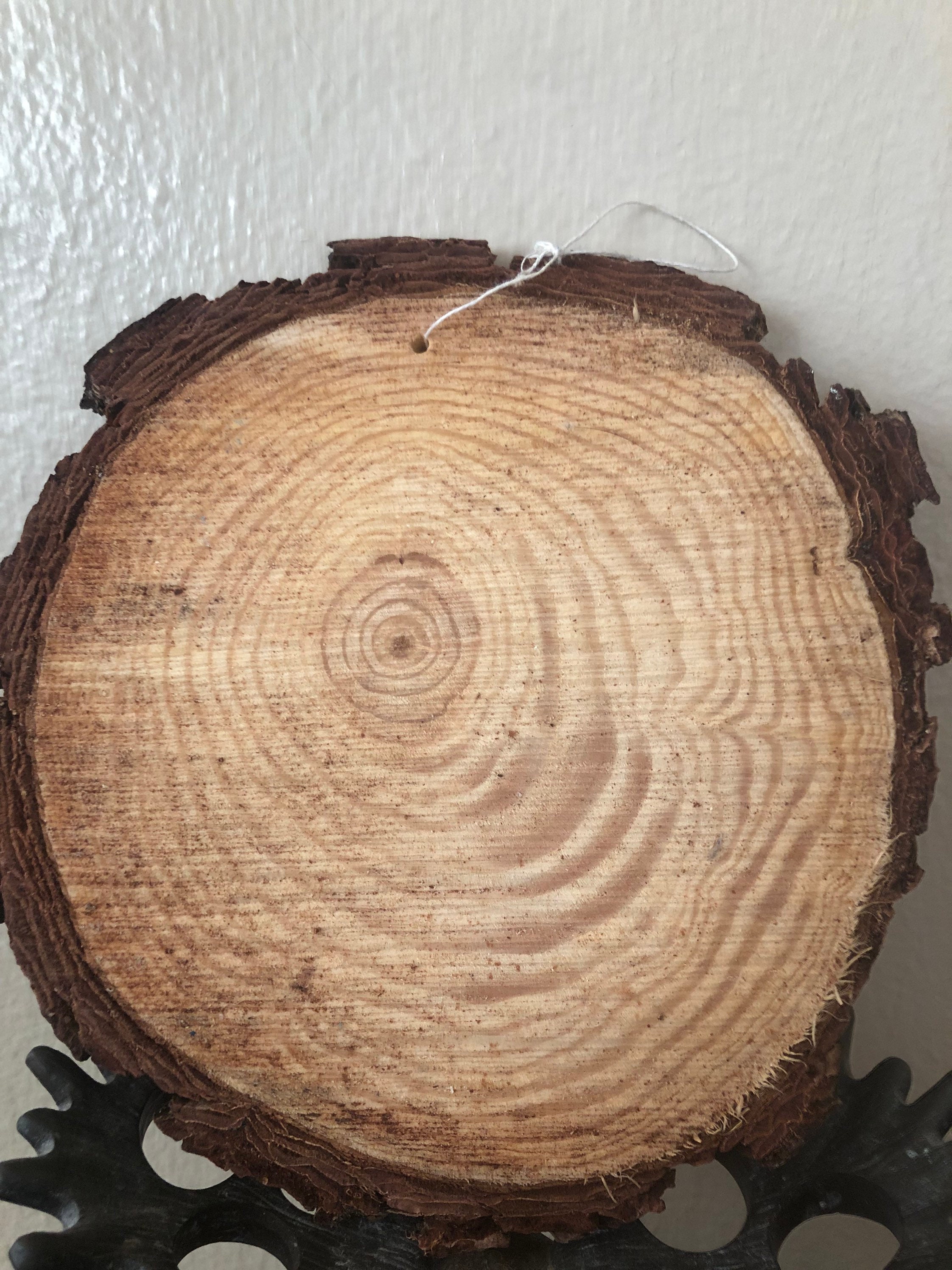 Wood Slice Painting - Wood Slice Art - Hand Painted Wood Slice ...