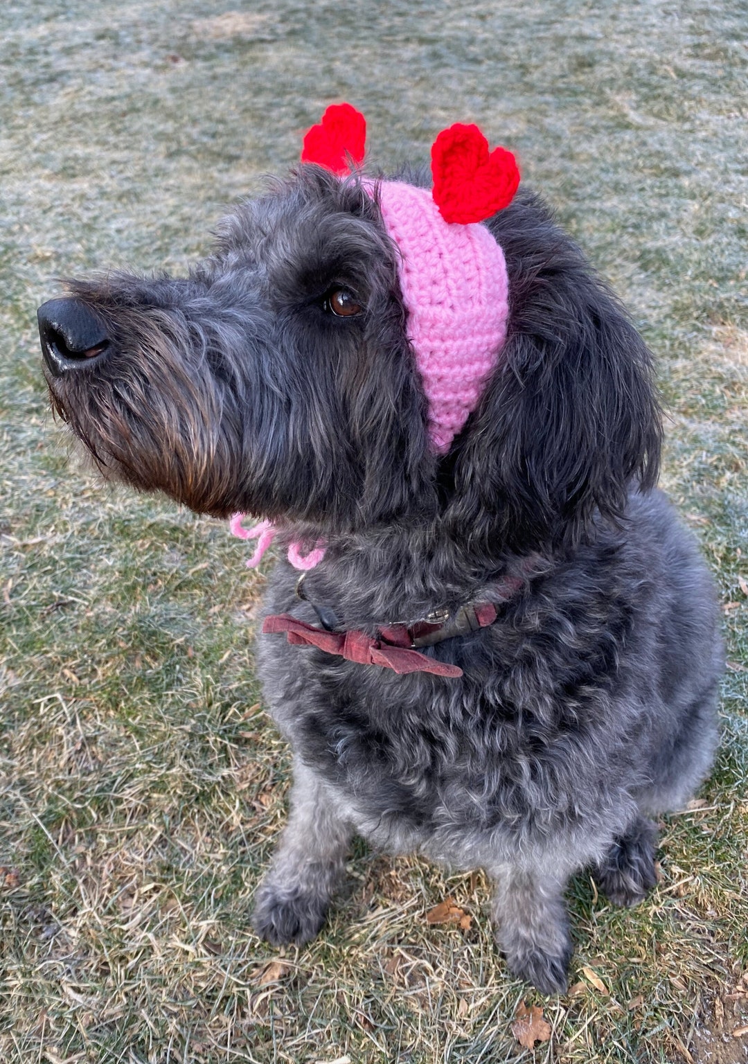 Valentine's Day Crochet Heart Hat for Cats and Dogs - Etsy